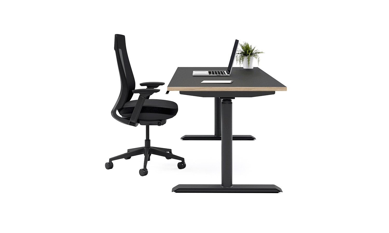 MOTION ROUND - Brightbase