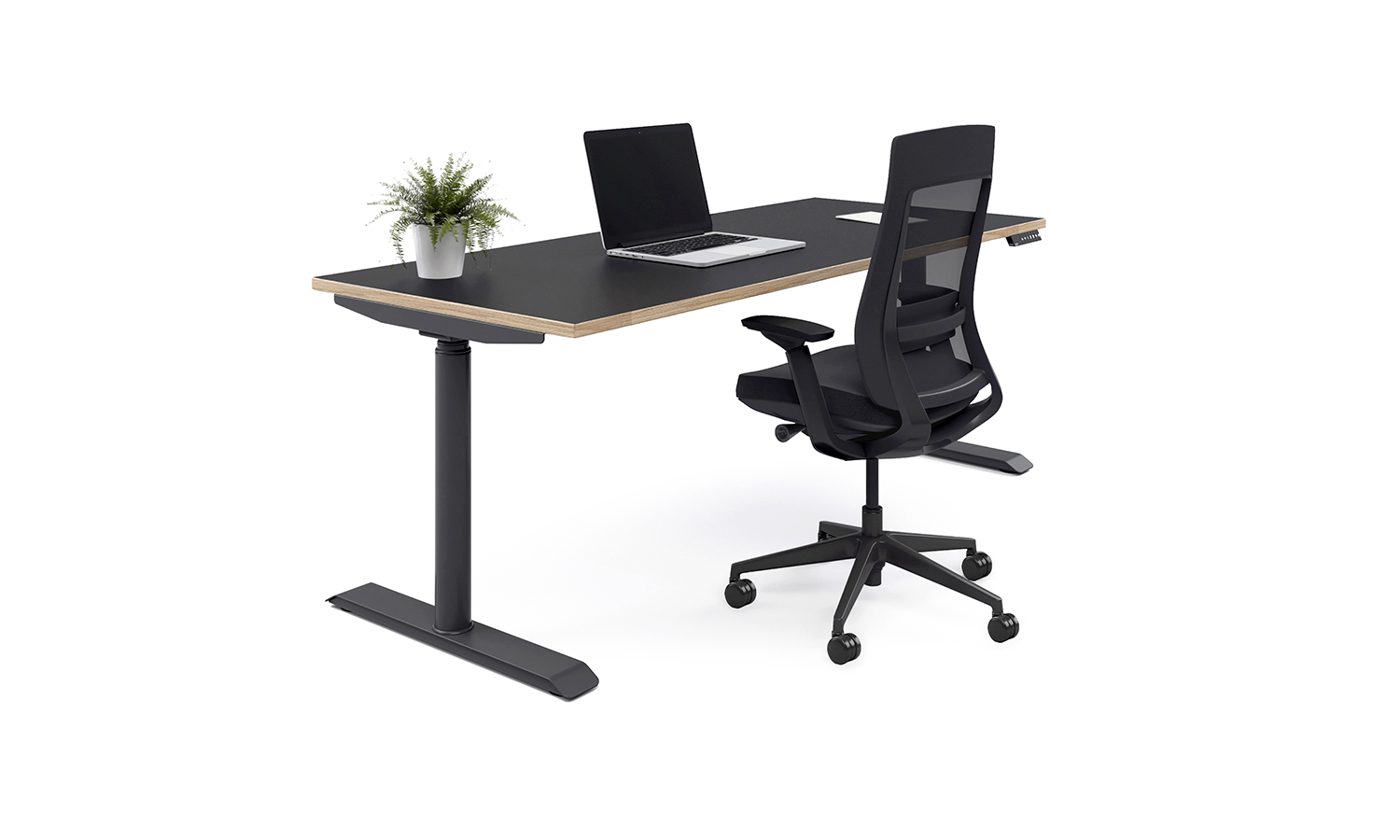 MOTION ROUND - Brightbase