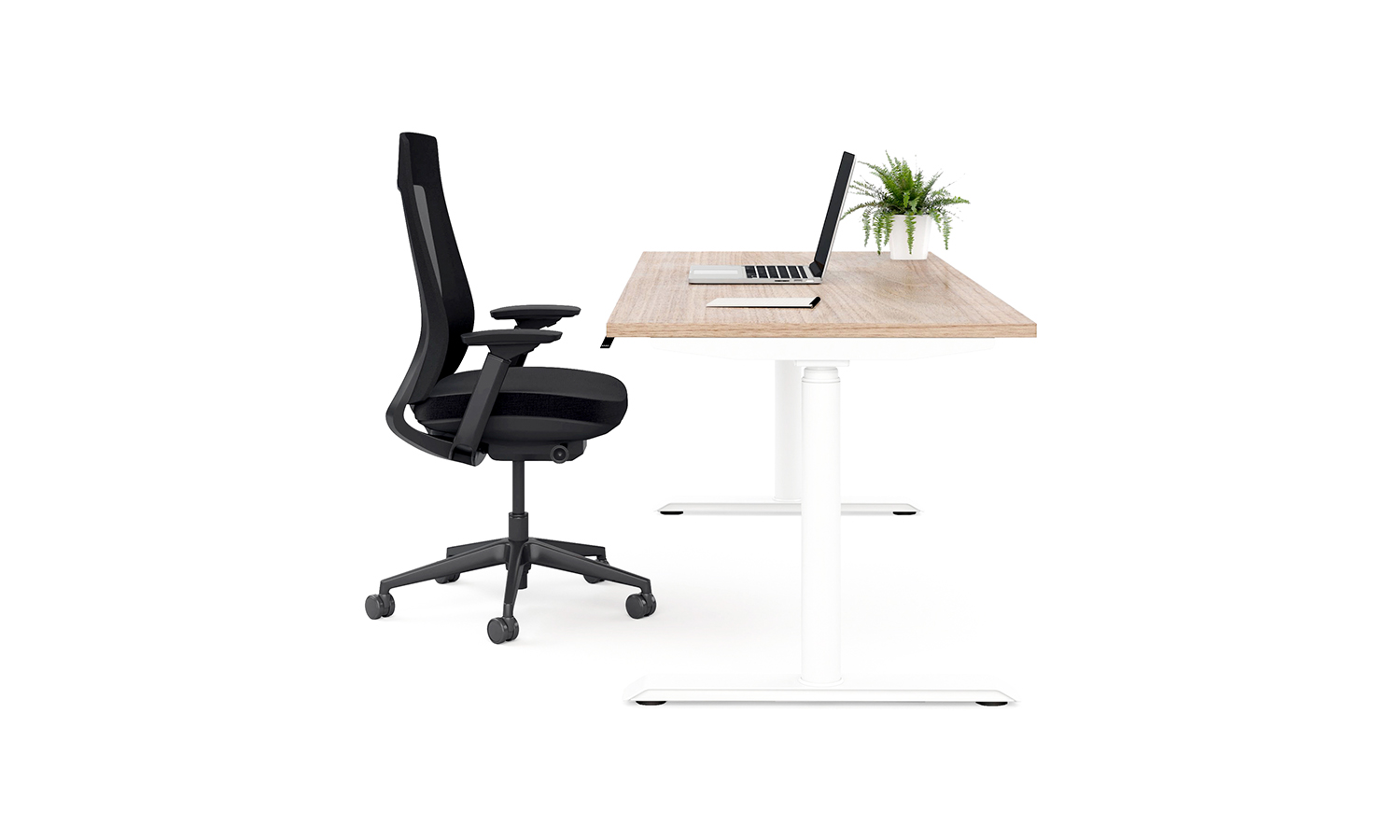 MOTION ROUND - Brightbase