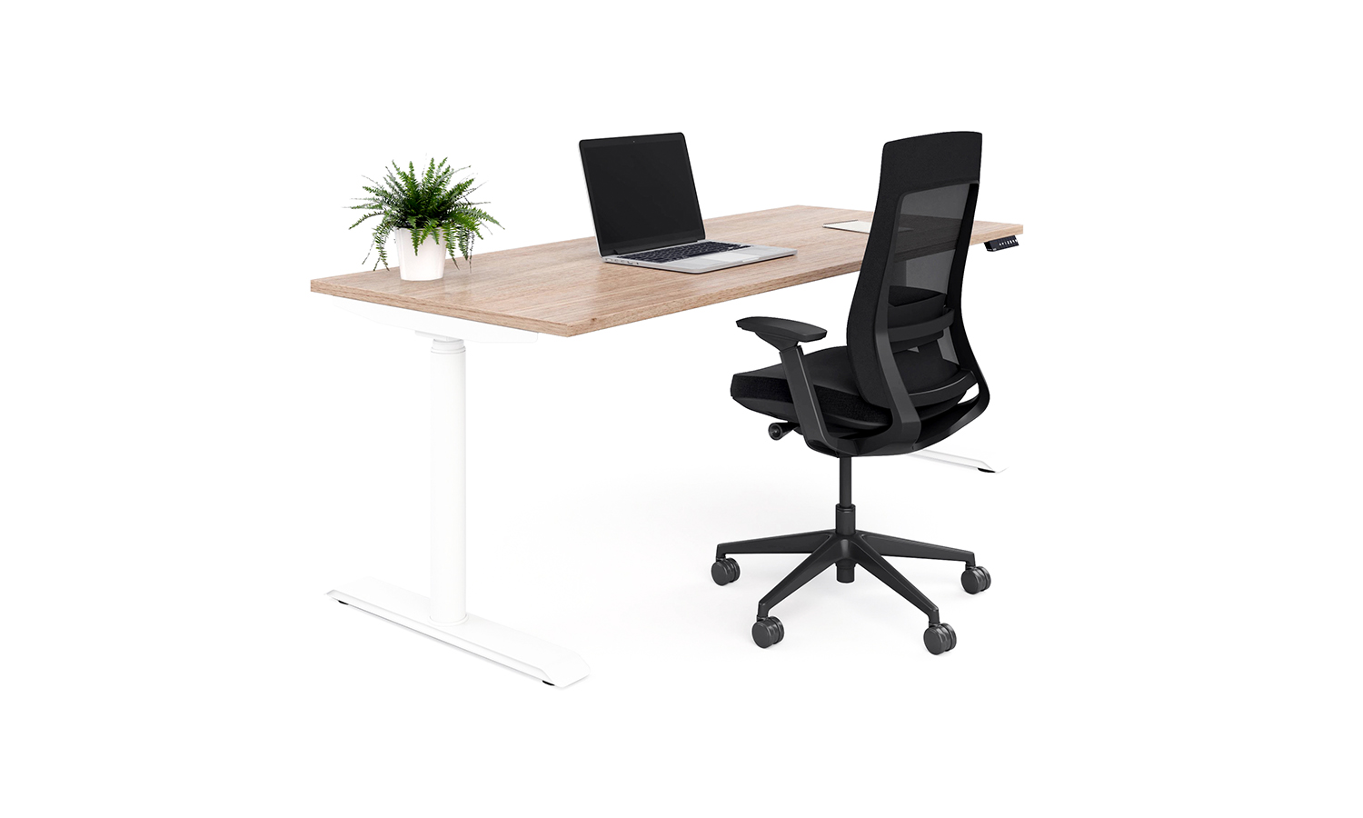 MOTION ROUND - Brightbase